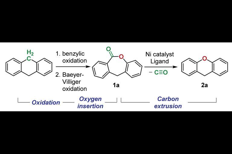 Atom-swapping reaction sequence turns cyclic diarylmethanes into ...
